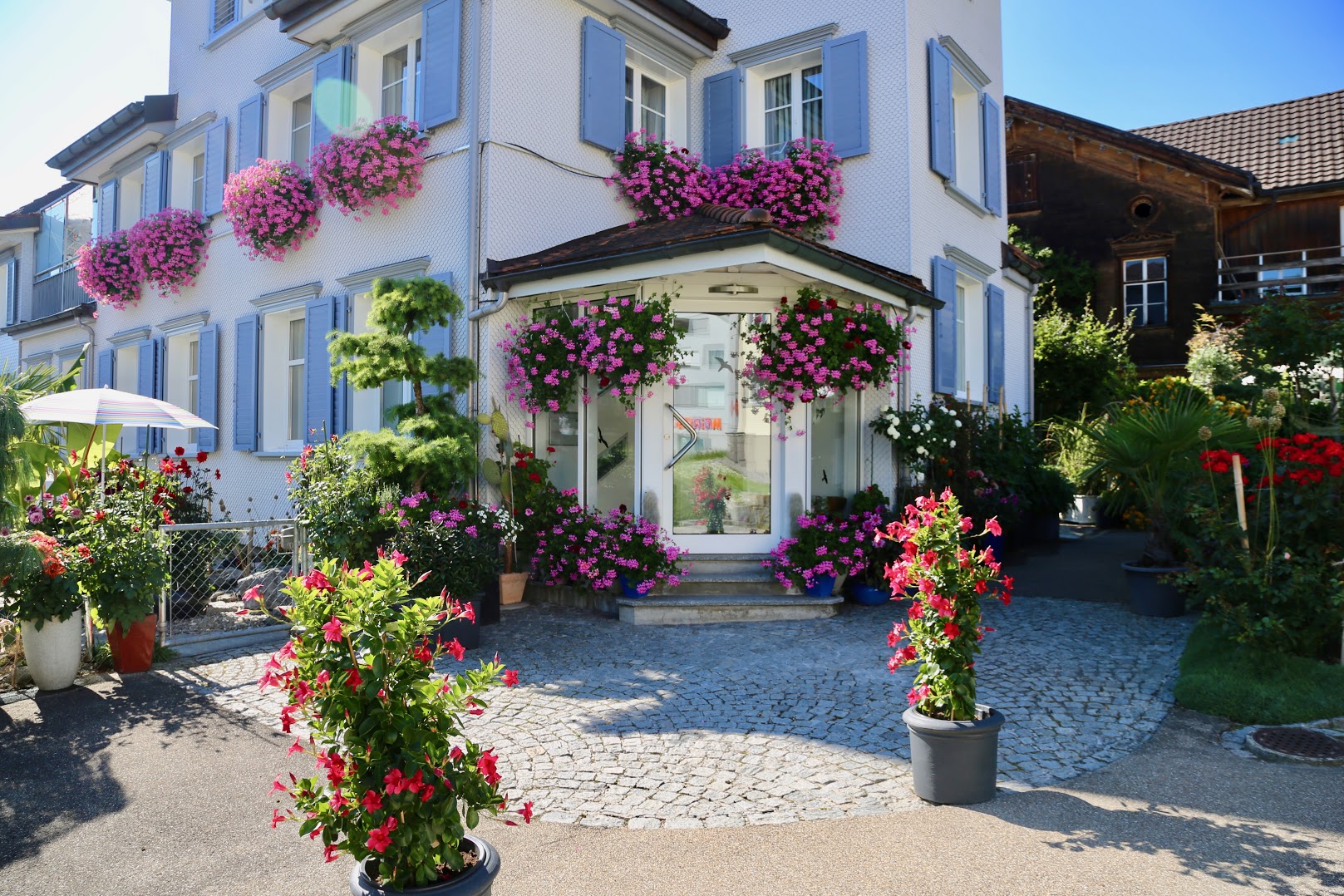 E gfreuti Sach: Ein Paradies mitten in Teufen - Tüüfner Poscht